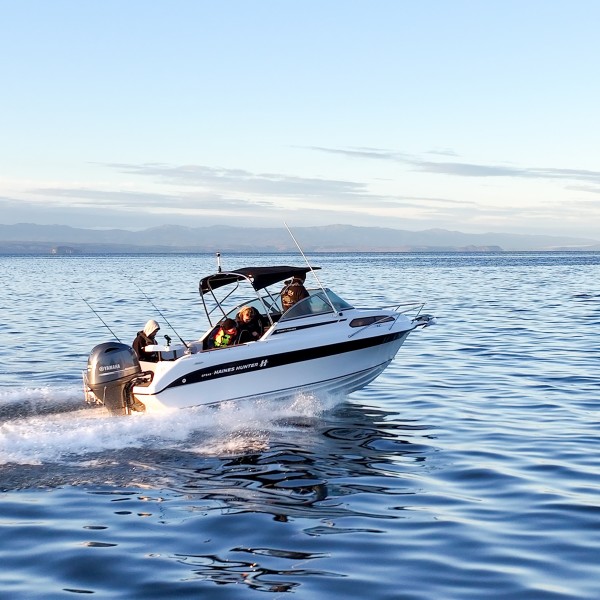 Haines Hunter 2024 SF545 Sport Fisher LE for Sale Auckland